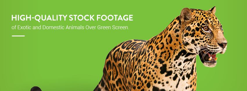 BLOG - The world’s leading solution for high quality, humane animal ...