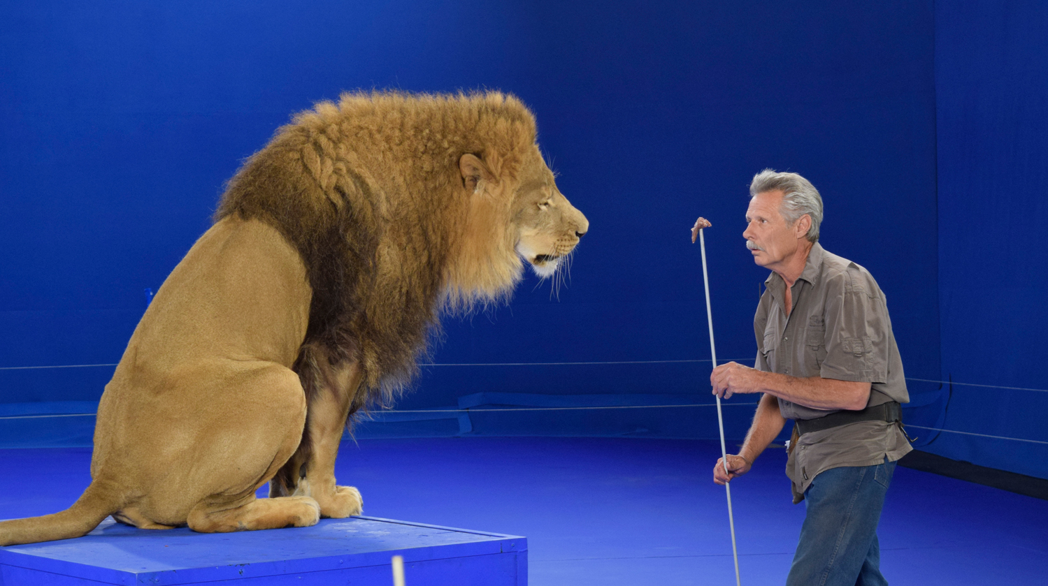 BLOG - The world’s leading solution for high quality, humane animal ...